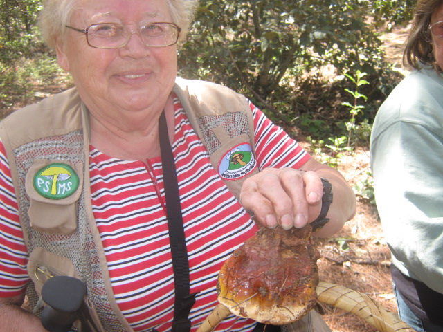 UNSOLVED DISAPPEARANCE: DR HILDEGARD HENDRICKSON – LAST SEEN ALIVE