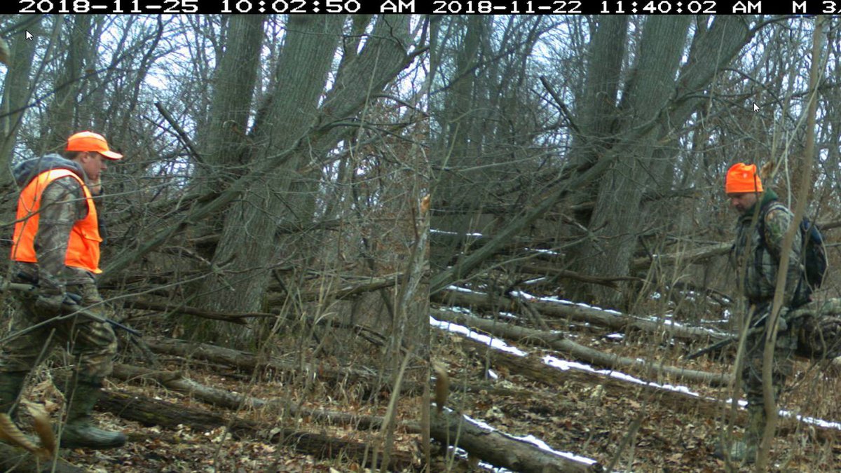 UNSOLVED HOMICIDE: SUSAN LUND + UNSOLVED HOMICIDE: CHONG MOUA YANG ...