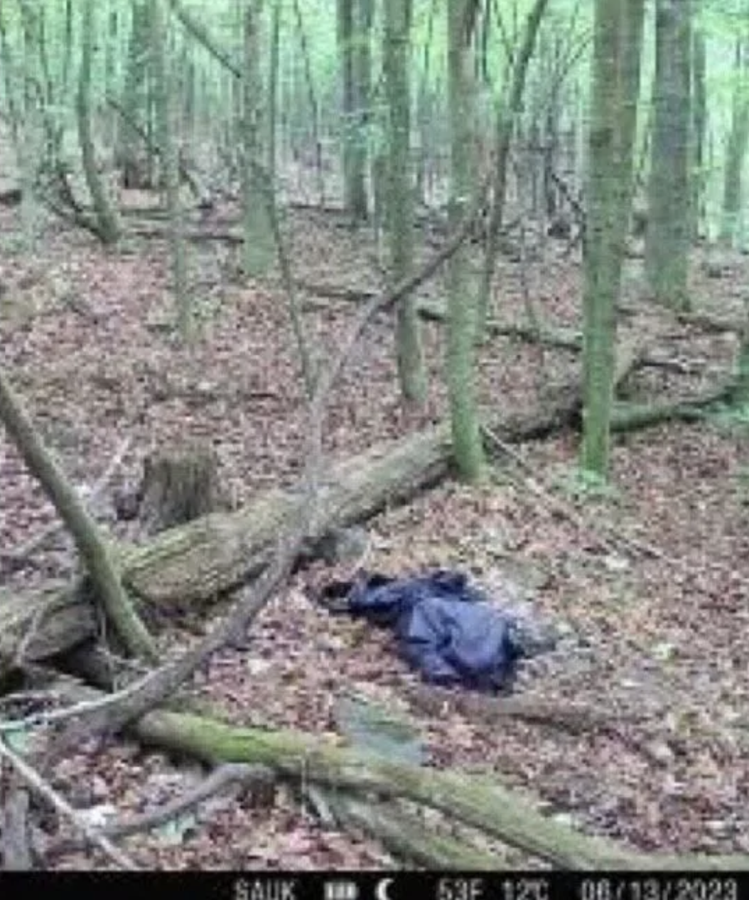 UNSOLVED DISAPPEARANCE: JAMES YOBLONSKI – LAST SEEN ALIVE